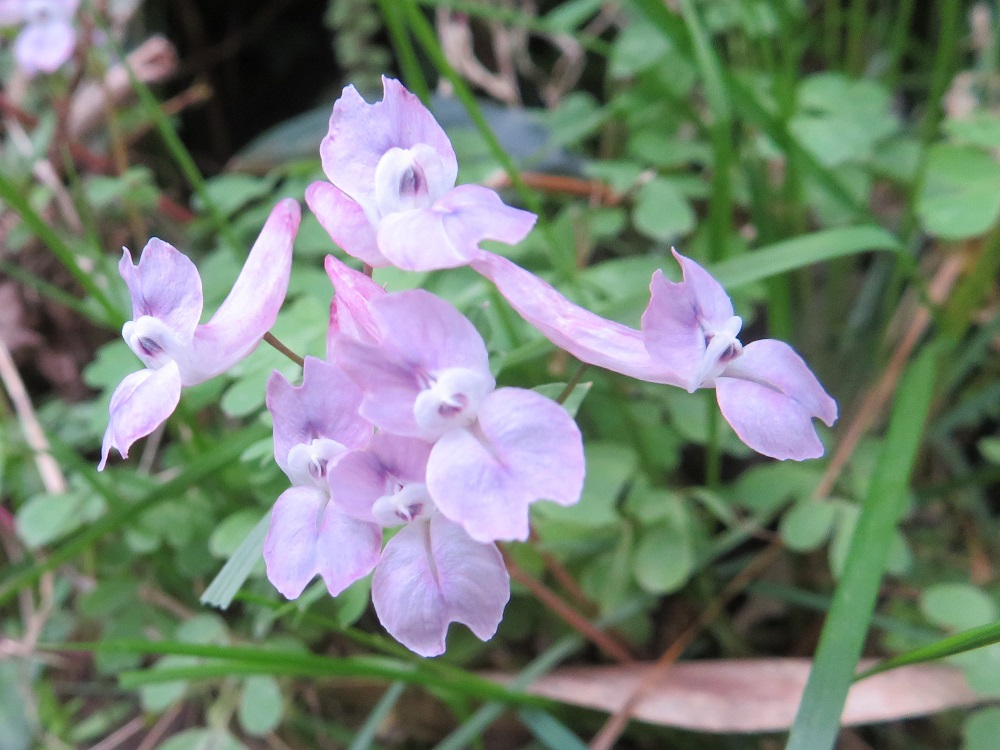 h-202304-04 – t-comnet