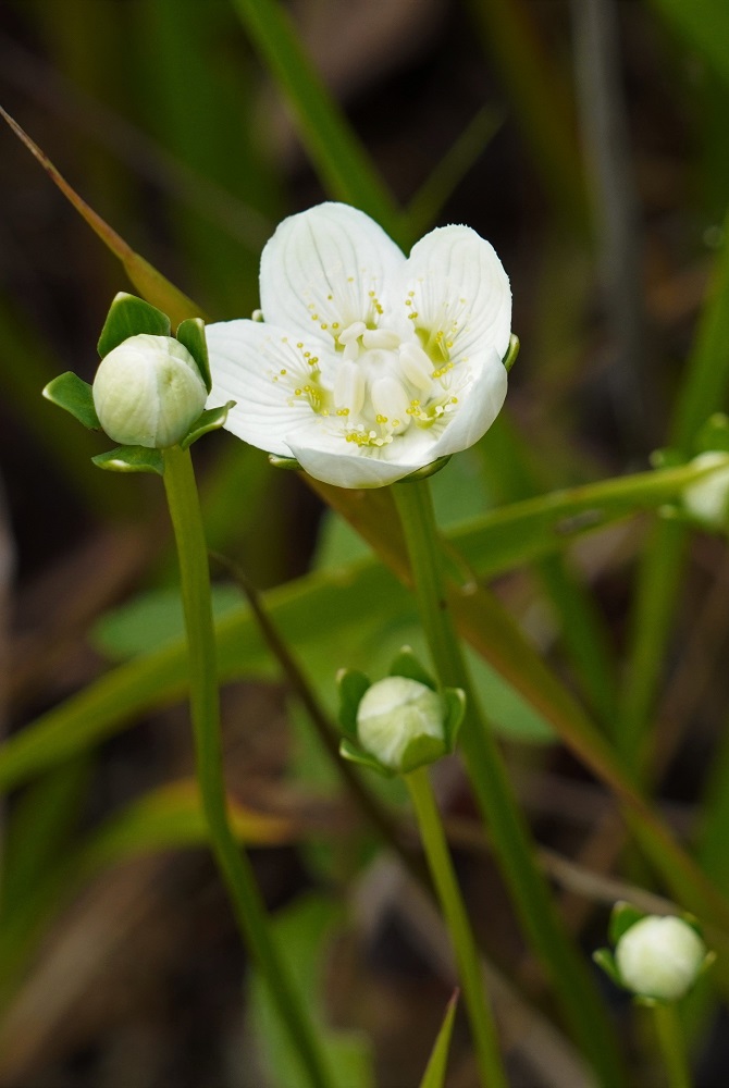 h-202311-06 – t-comnet