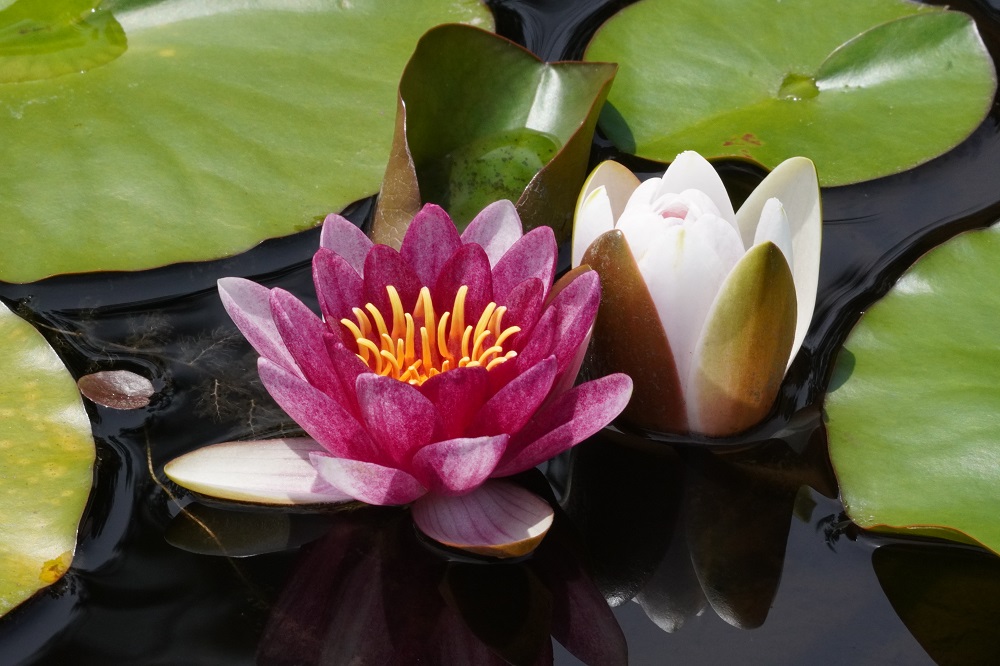 h-202407-02 – t-comnet