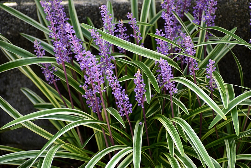 ha-202310-04 – t-comnet