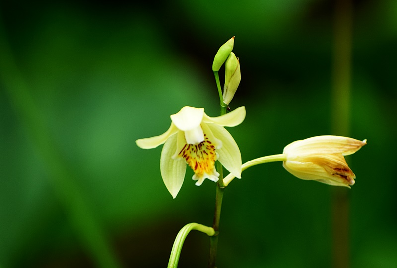 ha-202407-02 – t-comnet